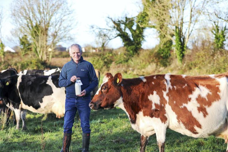 My farming week: Seán Condon, Fanningstown, Crecora, Co Limerick - Free