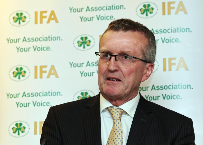 ‘Over €6/kg needed to breakeven for winter finishers’ – Teagasc - Premium