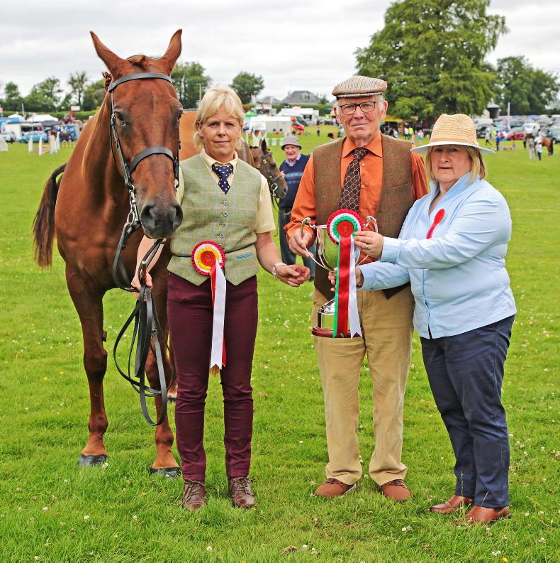 In pictures: summer show season back with a bang - Free