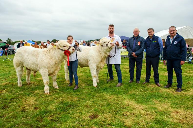 In pictures: summer show season back with a bang - Free