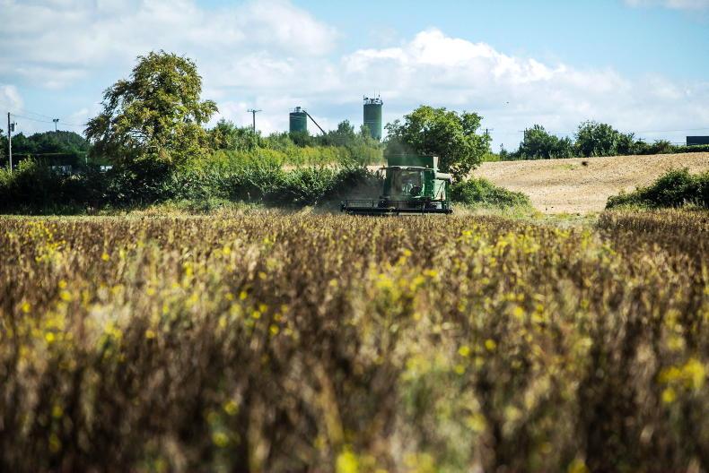 Target for 20,000ha of protein crops - Premium