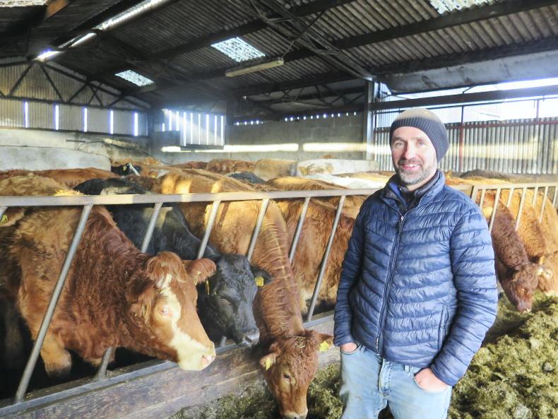 Irish Farmers Journal – For the Latest Farming News in Ireland