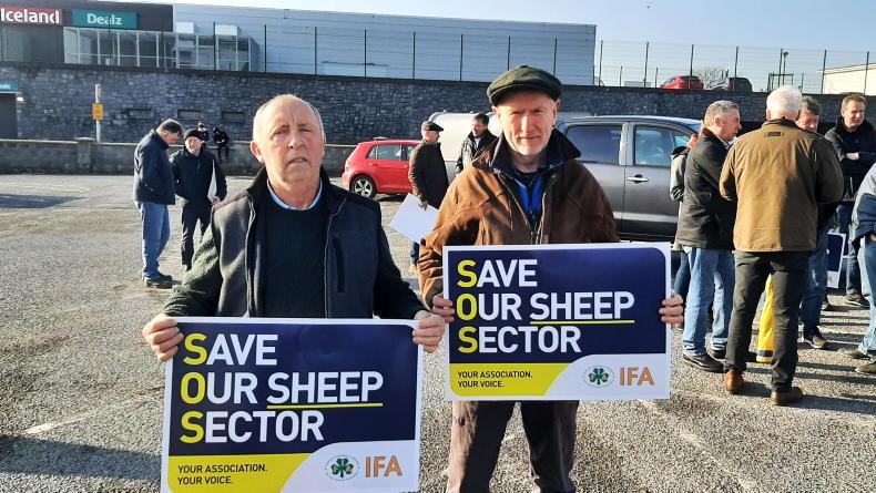 Sheep farmers take to the streets to highlight need for support - Premium
