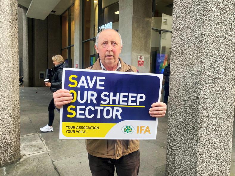 'The farmer breeding the store lamb is very concerned' – sheep farmer ...