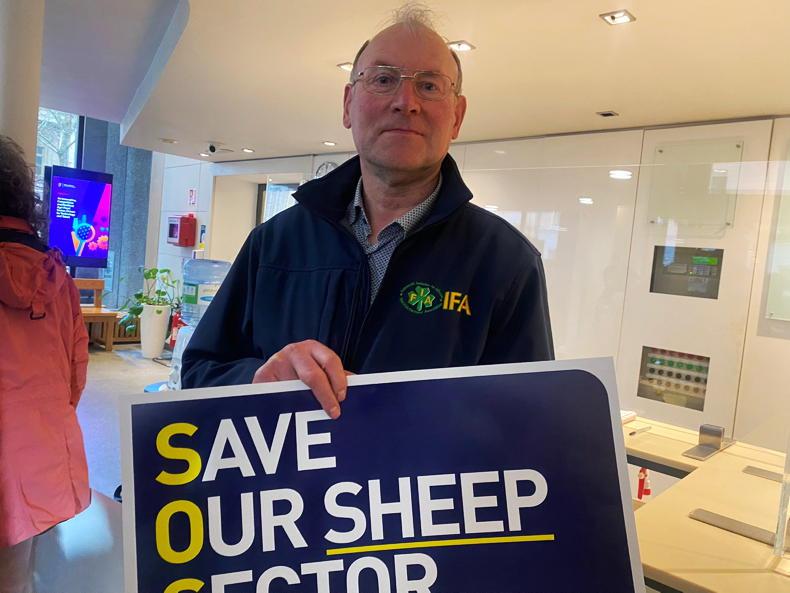 'The farmer breeding the store lamb is very concerned' – sheep farmer ...