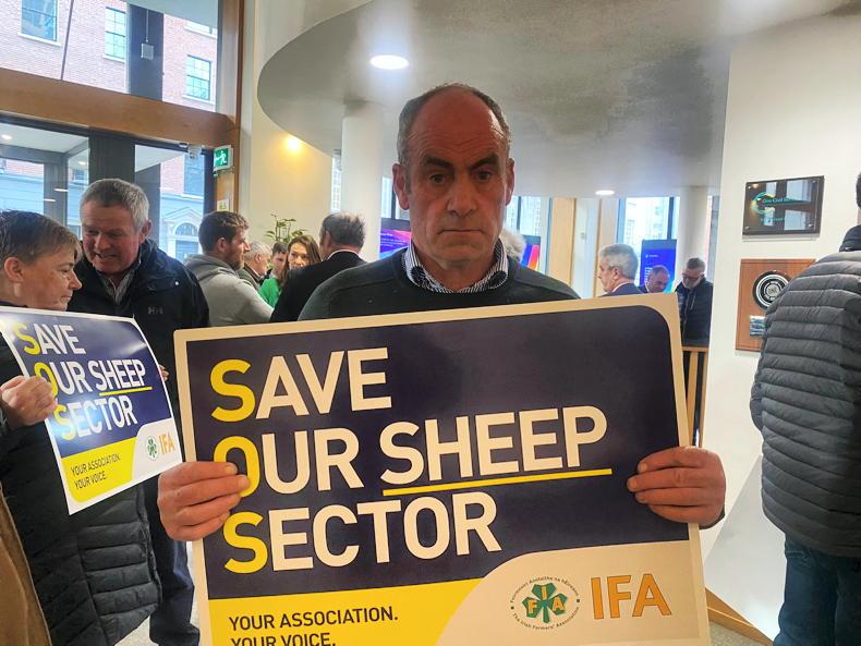 'The farmer breeding the store lamb is very concerned' – sheep farmer ...