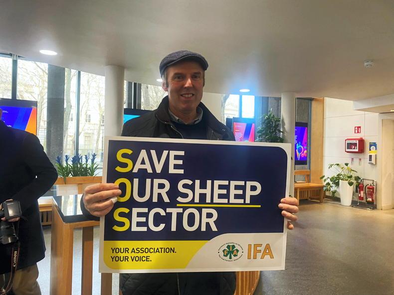 'The farmer breeding the store lamb is very concerned' – sheep farmer ...