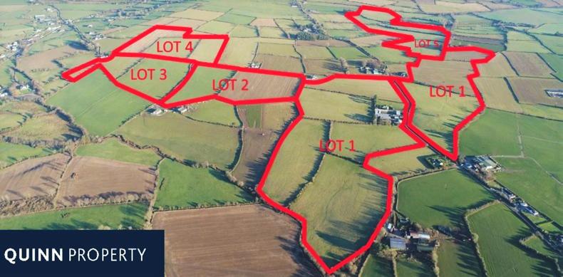 In pictures: inside Wexford's €4.66m 'outstanding' farm - Free