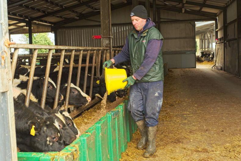 This week in photos - lambing, calving and SCEP - Free