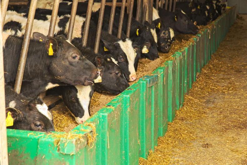 This week in photos - lambing, calving and SCEP - Free