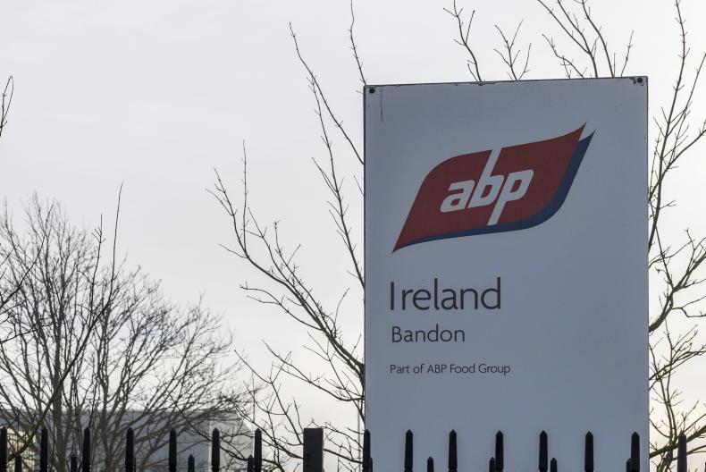 ABP yet to explore national sustainability bonus - Free