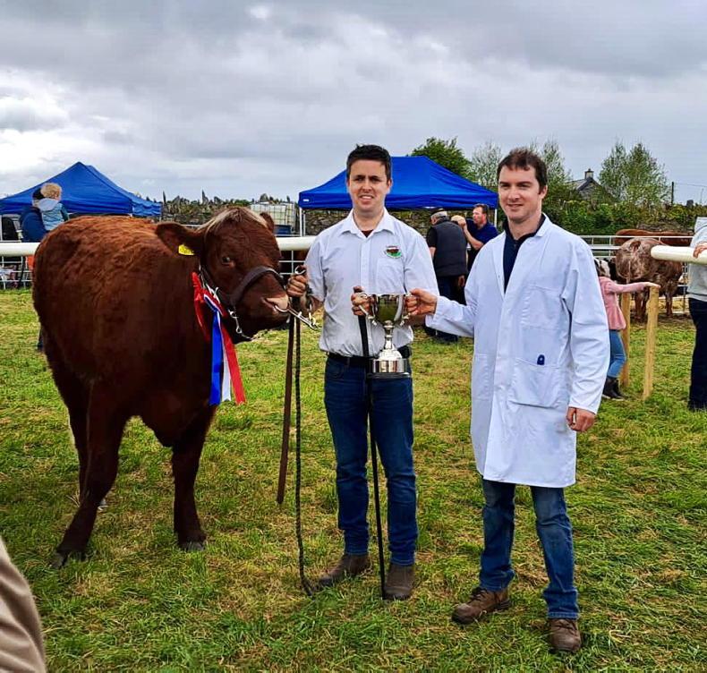 New year on the circuit in Newmarket-on-Fergus - Free