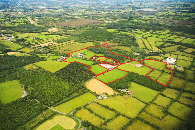 Tip top cattle farm in Longford - Free