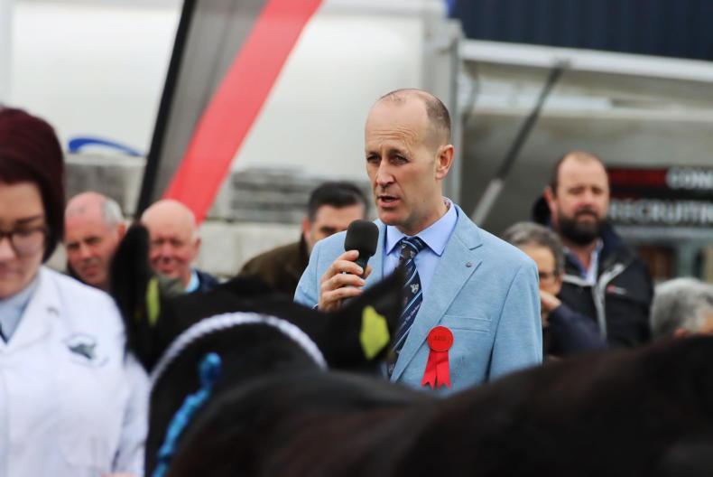 Balmoral Show 2023: follow the action live - Free