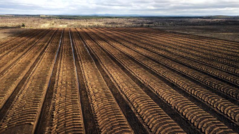 Irish Farmers Journal – For the Latest Farming News in Ireland