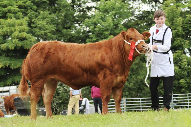 Ballybrown turns gold in Midleton - Free