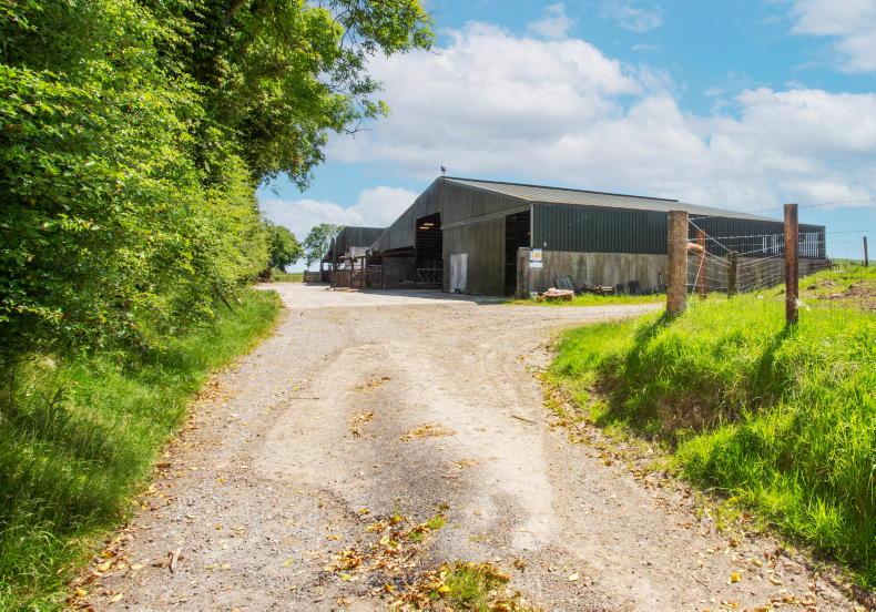 140ac and good livestock yard in Westmeath - Free