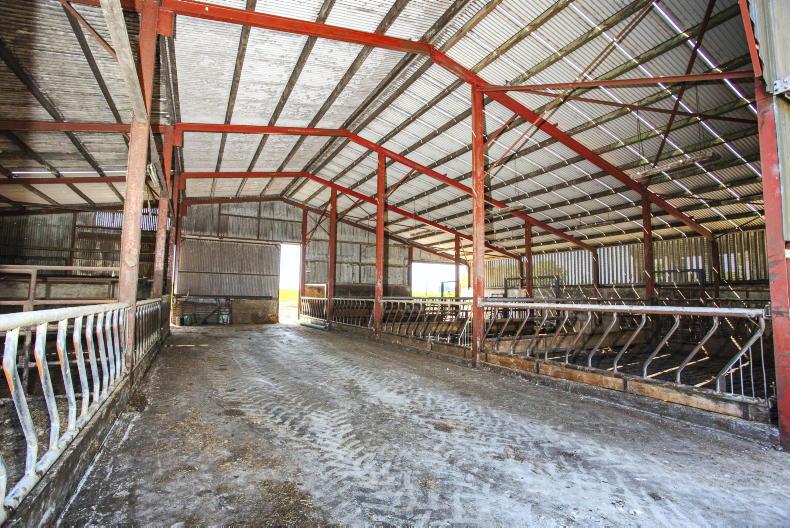 140ac and good livestock yard in Westmeath - Free