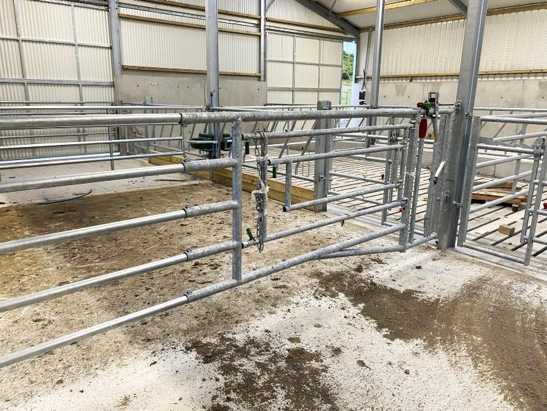 Seaside suckler shed ticks all the boxes - Free