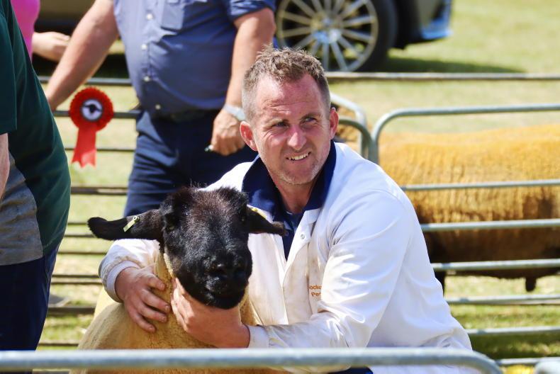 This week in photos: farm walks, partnerships, shows and sheep - Free