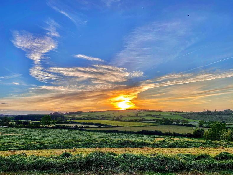 Reader photos: silage season in full swing - Free