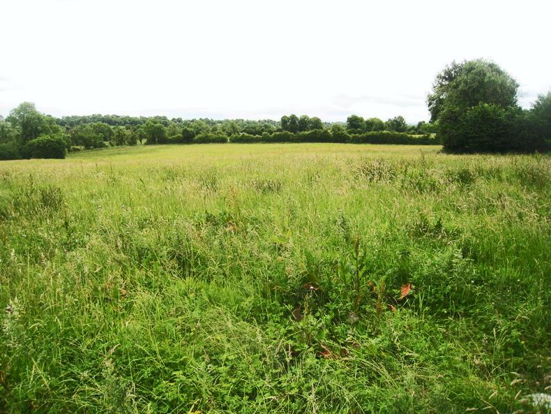 Longford farm with nice farmhouse - Free