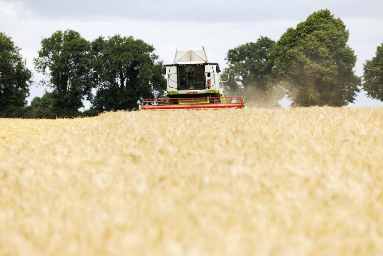 Irish Harvest Crops Growtrade | Ireland's Online Source For Latest