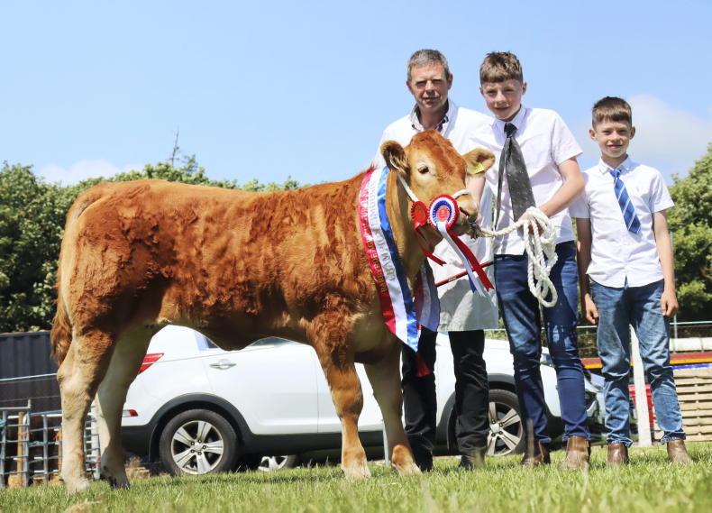In pictures: champions caught on camera at Barryroe Show - Free