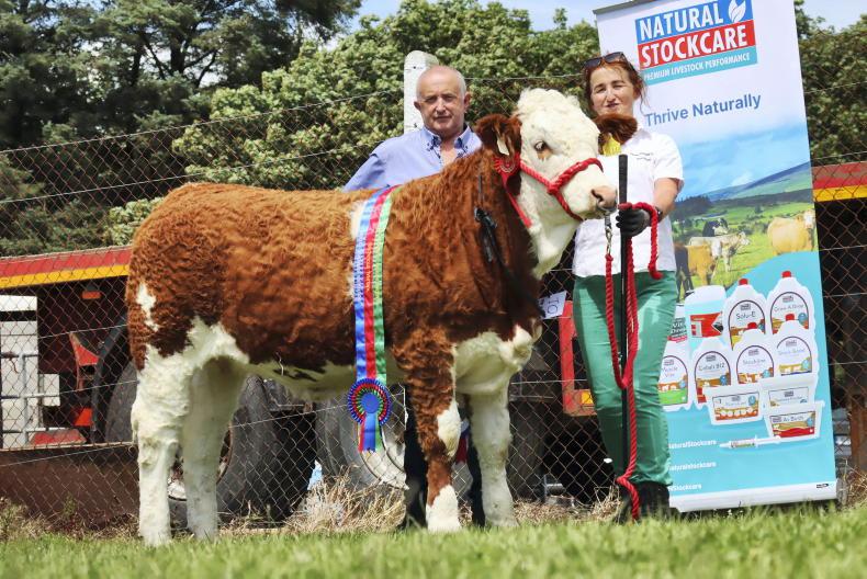 In pictures: champions caught on camera at Barryroe Show - Free