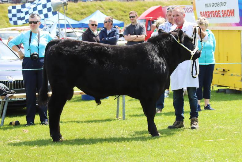 In pictures: champions caught on camera at Barryroe Show - Free