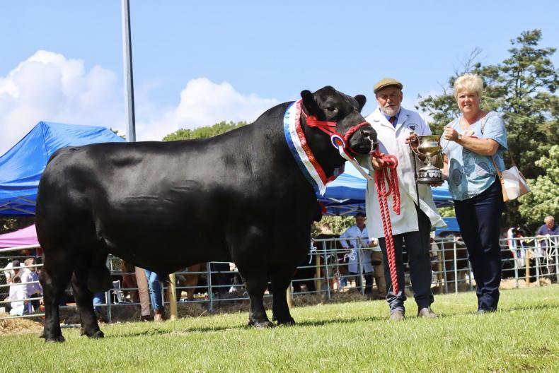 In pictures: the 2023 show season so far - Free