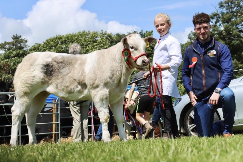 In pictures: the 2023 show season so far - Free