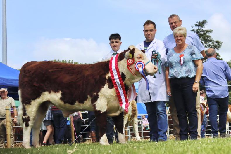 In pictures: the 2023 show season so far - Free