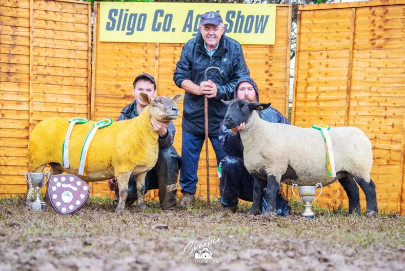 In pictures: the 2023 show season so far - Free