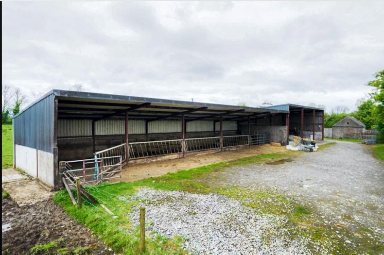 Galway farm with good cattle yard guided at €300,000 - Free
