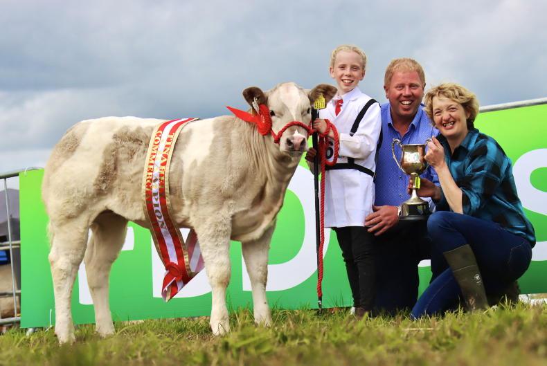 A wonderful day in Wicklow for the Burke family - Free