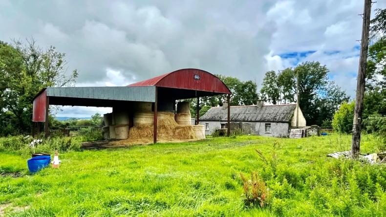 Small Laois farm to be auctioned in lots - Free