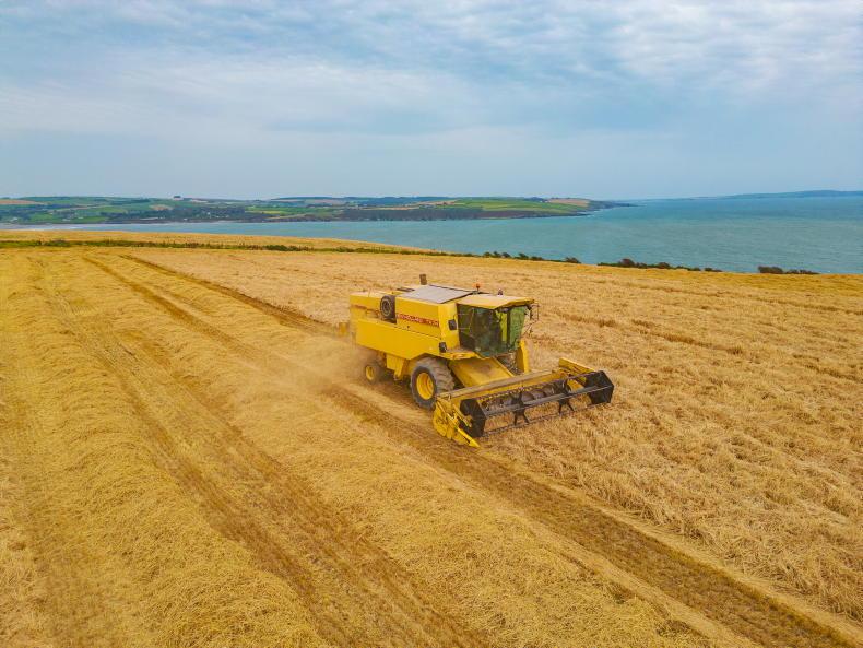 In pictures: our favourite farming photos of the week - Free