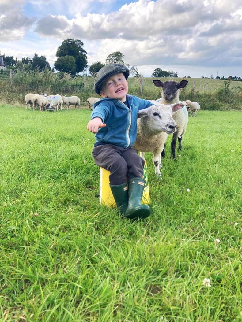 In pictures: our favourite reader photos of the week - Free