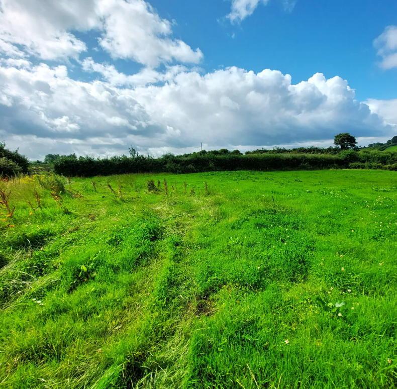 Monaghan farm has nice house on 34ac - Free