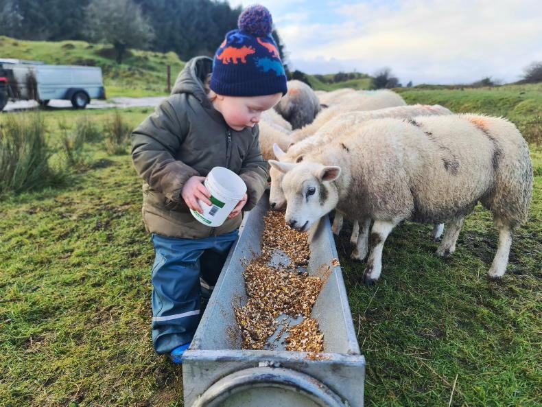 Reader photos: show us what’s happening on your farm - Free