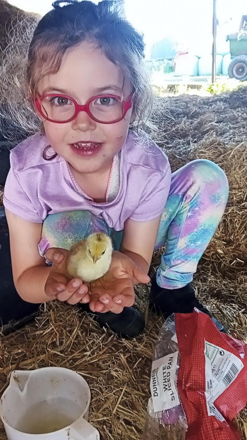 Reader photos: show us what’s happening on your farm - Free