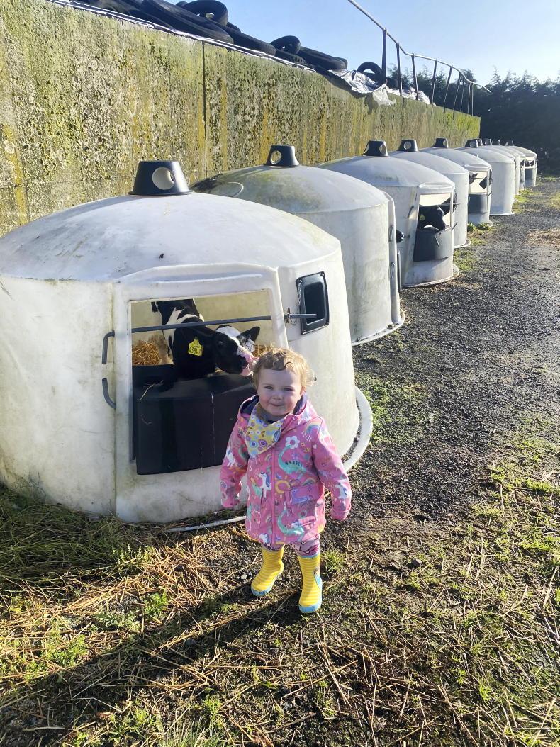 In pictures: our favourite farming photos of the week - Free