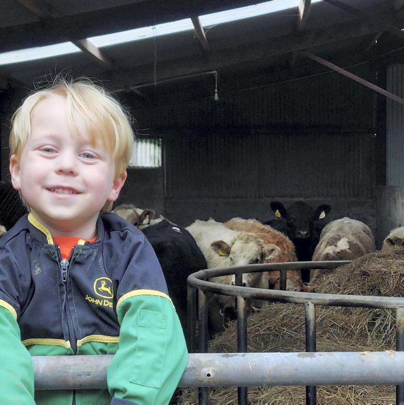 In pictures: our favourite reader photos of the week - Free