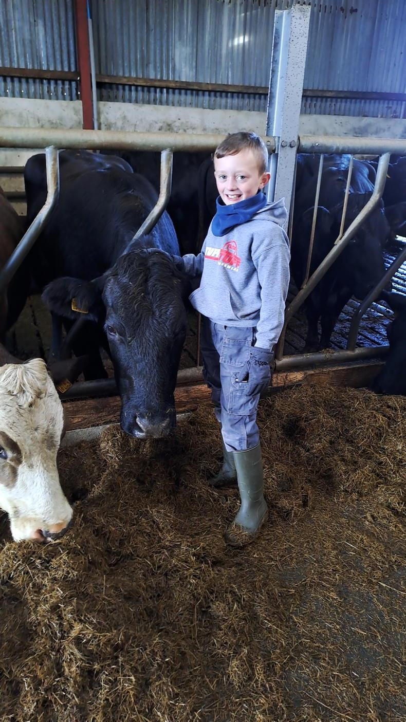 In pictures: our favourite reader photos of the week - Free