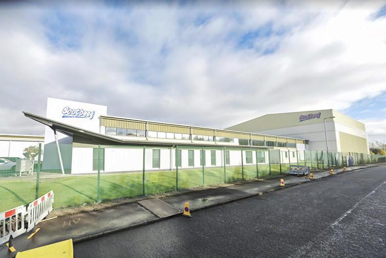 ABP cleared to take Scotbeef sites - Free