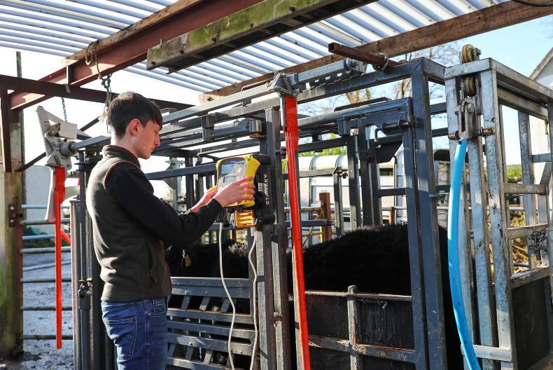 Irish Farmers Journal – For the Latest Farming News in Ireland