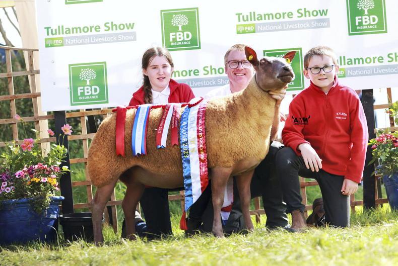 In pictures: young stars shining bright on the 2023 show circuit - Free