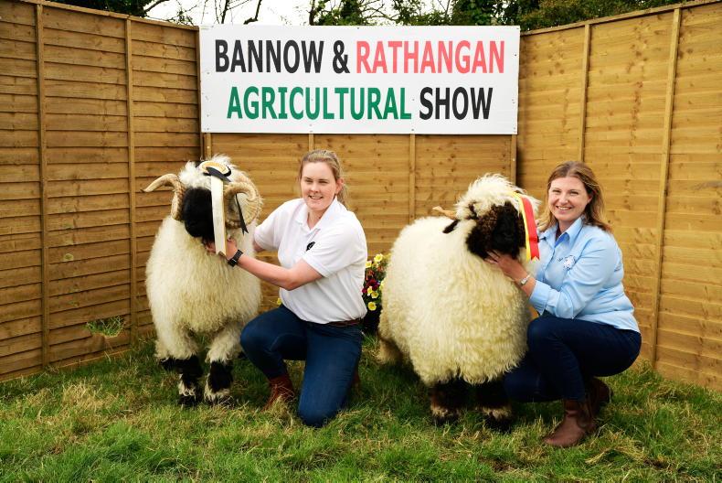 In pictures: champions from the 2023 summer show circuit - Free