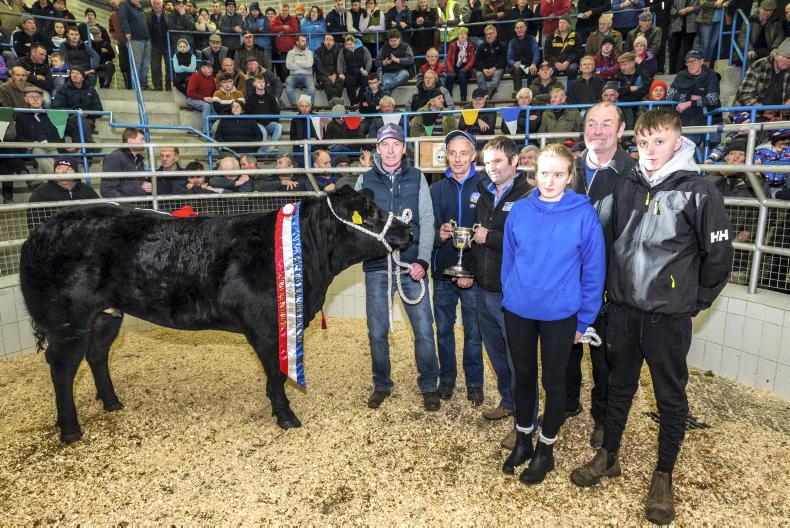 Camera at the Mart: sizzling prices at Skibbereen show and sale - Free